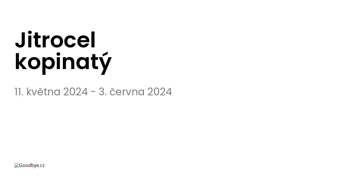 Jitrocel kopinatý | Parte online | Goodbye.cz