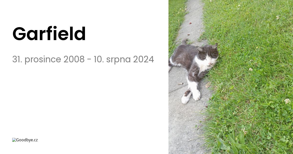 Garfield | Parte online | Goodbye.cz